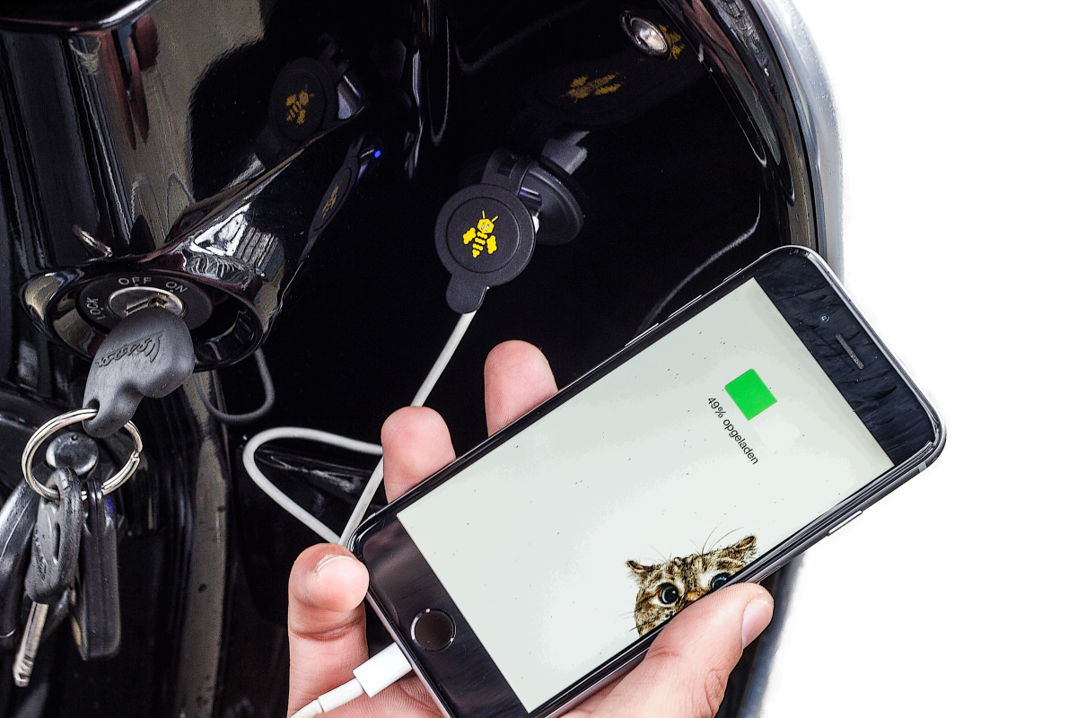 Electronic Bee | Electronic Bee